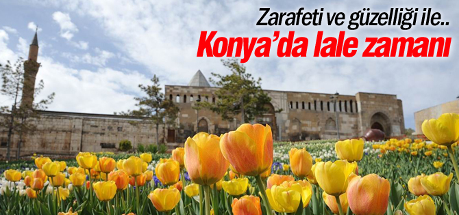 Konya'da lale zamanı
